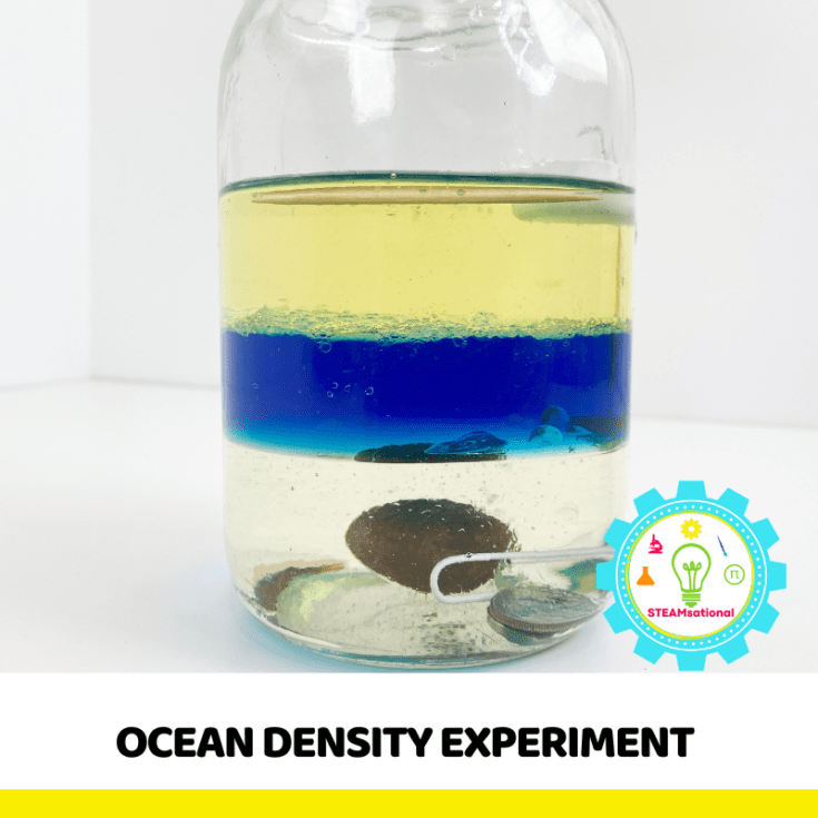 Beautiful Liquid Density Experiment Demonstrated with Ocean Layers!