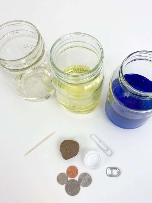 Beautiful Liquid Density Experiment Demonstrated with Ocean Layers!