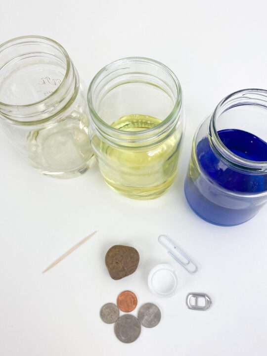 Beautiful Liquid Density Experiment Demonstrated with Ocean Layers!