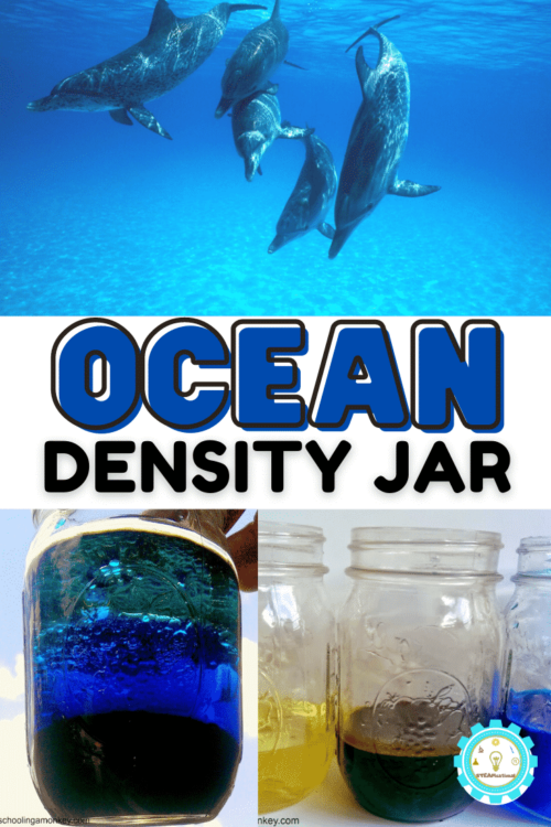 Beautiful Liquid Density Experiment Demonstrated with Ocean Layers!