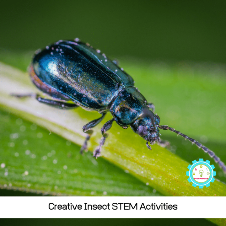 21 Creative Insect STEM Activities for Kids Featuring Bugs!