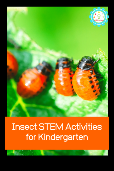 21 Creative Insect STEM Activities for Kids Featuring Bugs!