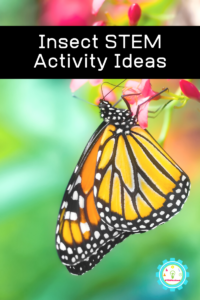 21 Creative Insect STEM Activities for Kids Featuring Bugs!