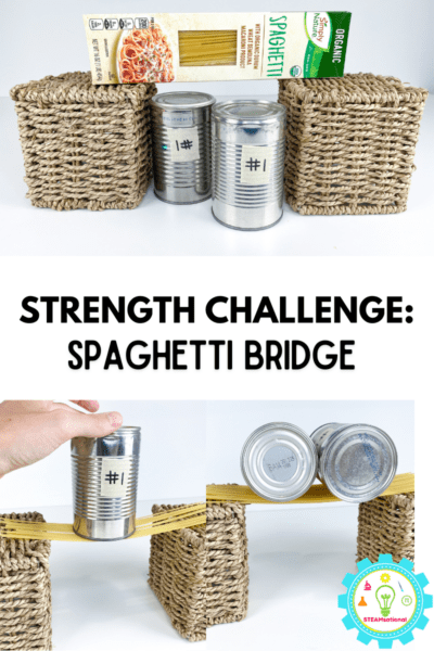 Spaghetti Engineering Project- Schooling a Monkey