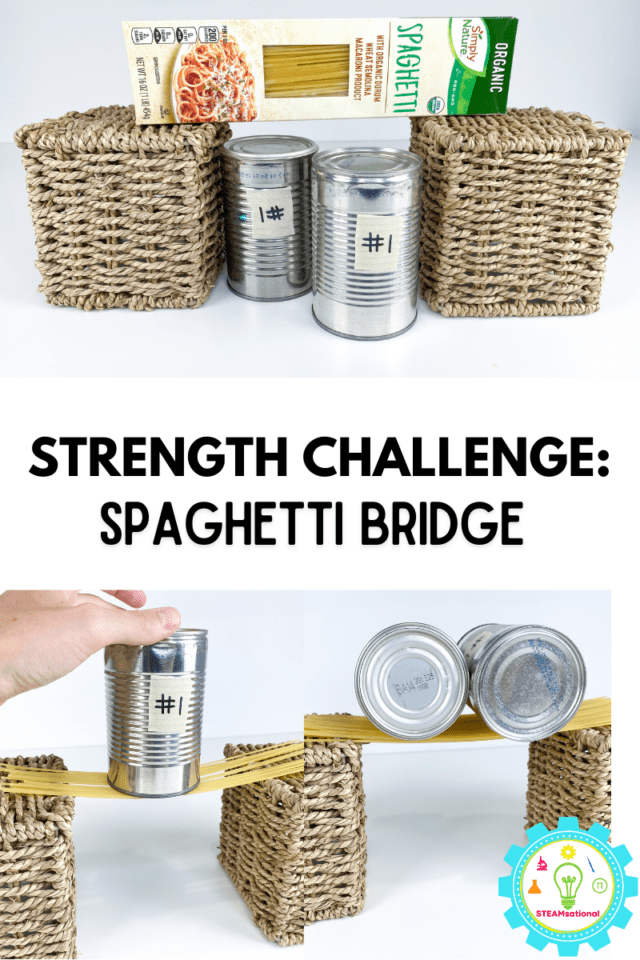 Spaghetti Engineering Project- Schooling a Monkey