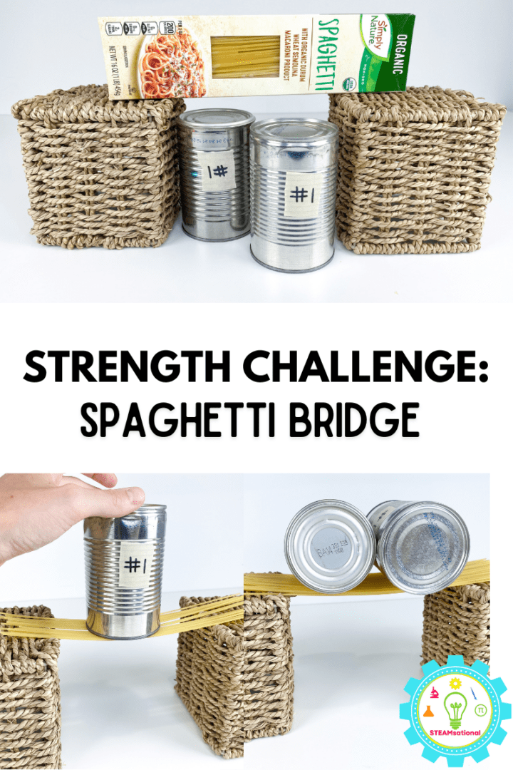 Spaghetti Engineering Project- Schooling a Monkey