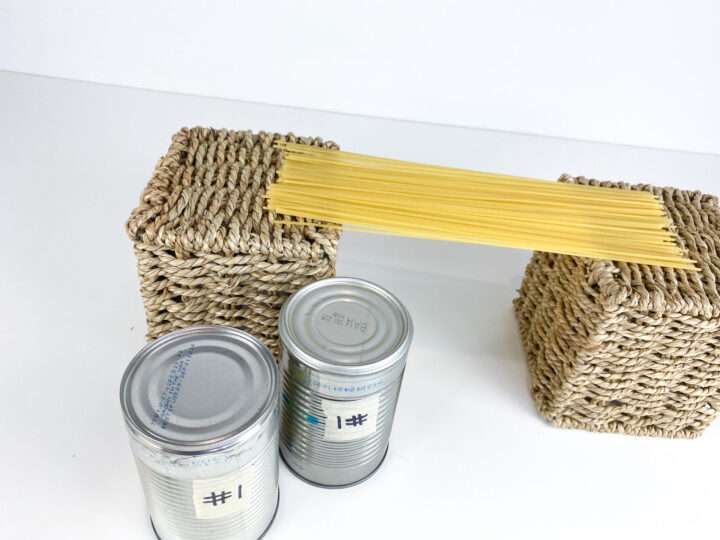 Spaghetti Engineering Project- Schooling a Monkey