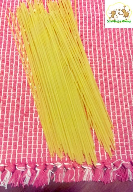 Spaghetti Engineering Project- Schooling a Monkey