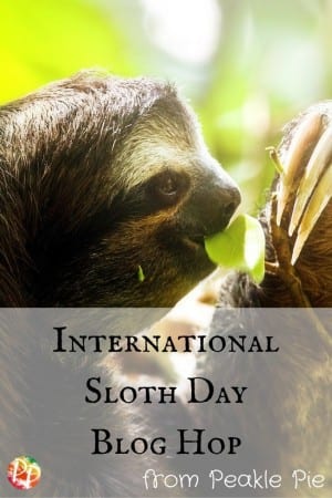 Sloth Crafts for Preschool: Chenille Stem Sloth