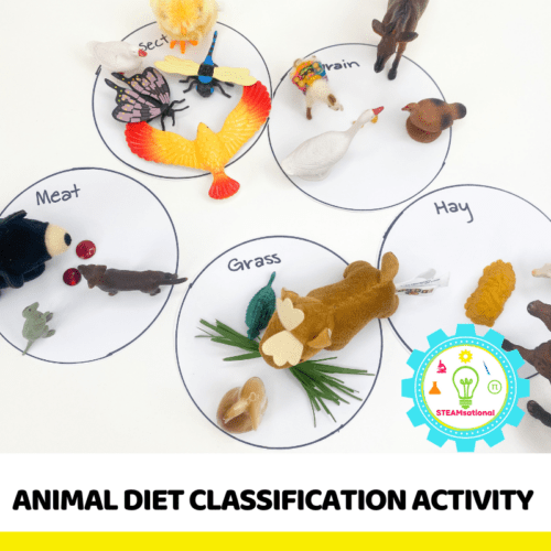 Animal Diet Classification STEM Challenge for Preschoolers