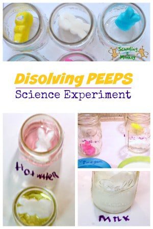 PEEPs STEAM Activities