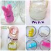 PEEPs STEAM Activities