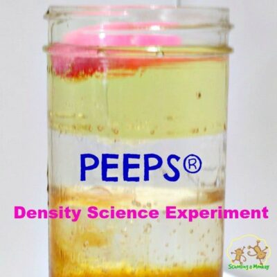 Peeps Science Experiment: Soap Powered Boat