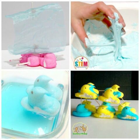 Peep Experiment Ideas for the STEM Classroom