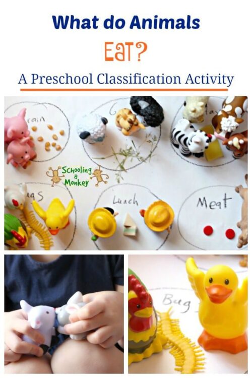 The Ultimate List of Spring Science Experiments for the Classroom