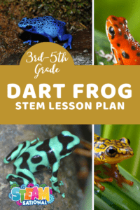 3D Poison Dart Frog Craft and Lesson Plan