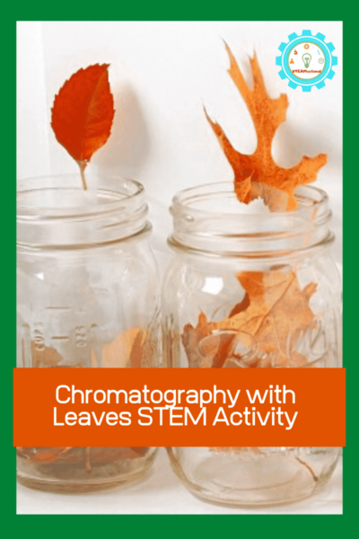 Leaf Chromatography Experiment for Elementary and Middle School