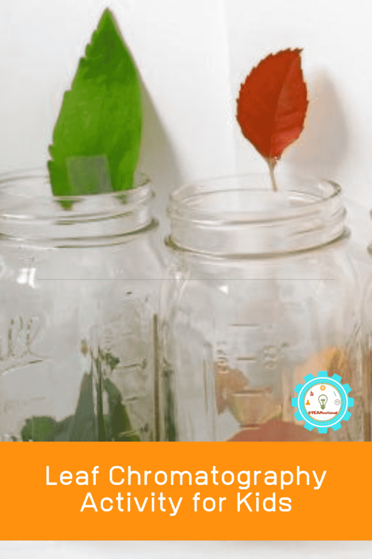 Leaf Chromatography Experiment for Elementary and Middle School