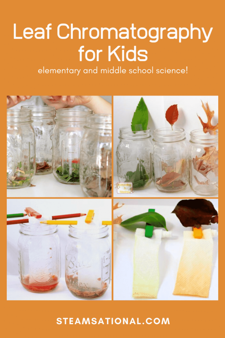 Leaf Chromatography Experiment for Elementary and Middle School