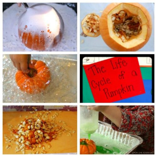 Pumpkin STEM Activities For Kindergarten and Preschool
