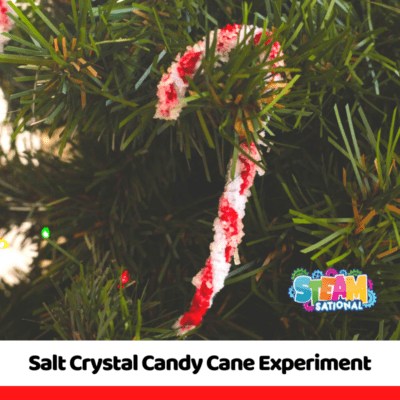 Festive Candy Cane Experiment that Makes the Season Bright