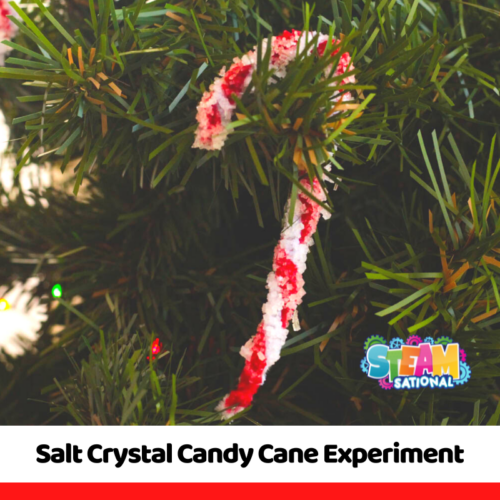 How to Make Salt Crystal Feathers Fast (less than 1 hour!)