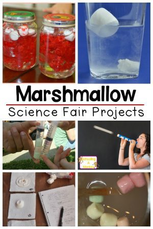 Marshmallow Science Fair Projects for Elementary