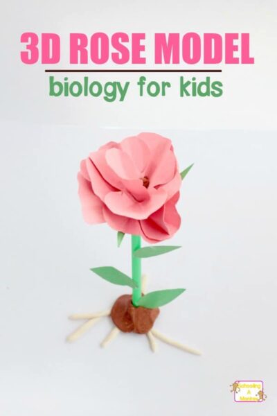 How to Make a 3D Flower Model with Parts- Simple Science for Kids!