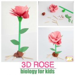 How to Make a 3D Flower Model with Parts- Simple Science for Kids!