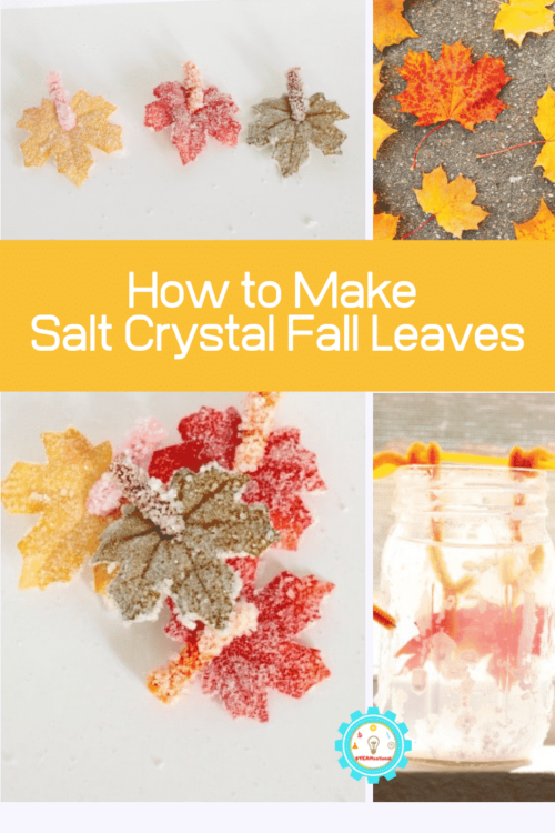 How to Do the Salt Crystal Leaves Science Experiment