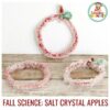 Salt Crystal Apples: Crystal STEM Activity Lesson Plan