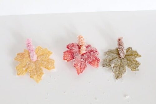 How to Do the Salt Crystal Leaves Science Experiment