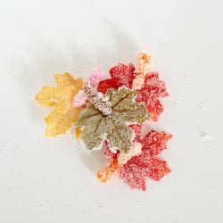 How to Do the Salt Crystal Leaves Science Experiment