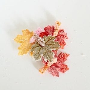 How to Do the Salt Crystal Leaves Science Experiment