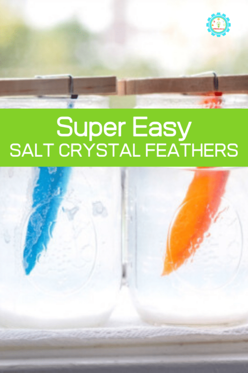 How to Make Salt Crystal Feathers Fast (less than 1 hour!)