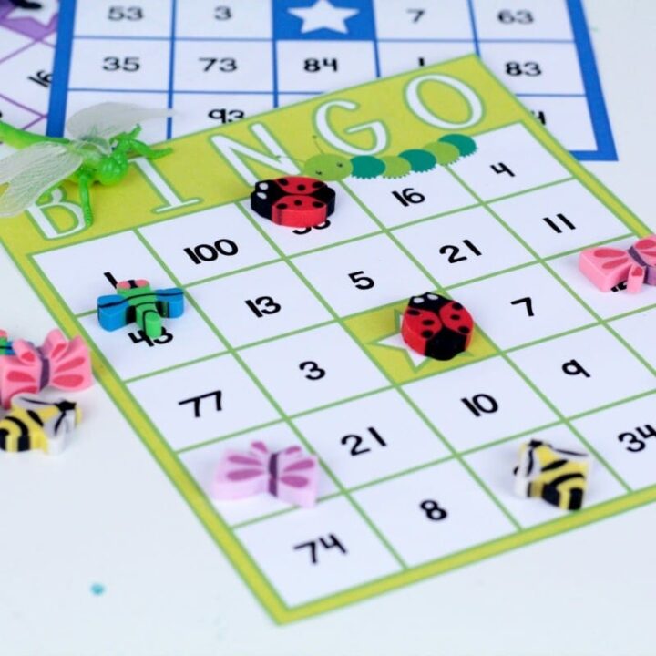 Bug BINGO Cards (30 cards!) – STEAMsational