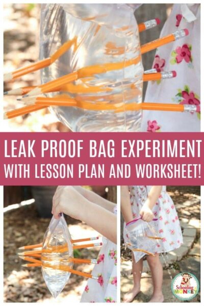 EASY! 3 Steps to the Perfect Leak Proof Bag Science Experiment