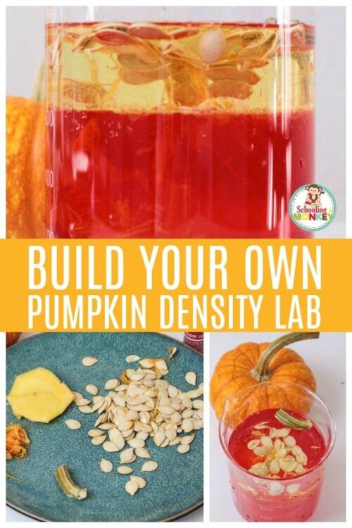 Parts of a Pumpkin Density Column Experiment
