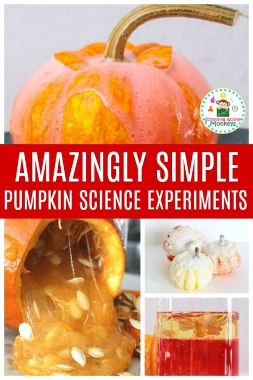 10 Pumpkin Science Experiments for Elementary Kids