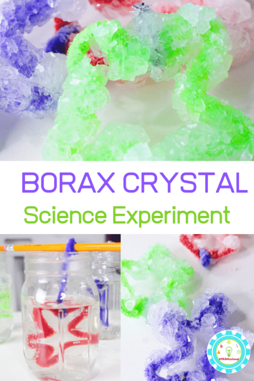 Easy Borax Crystals Science Project Perfect for a Science Fair