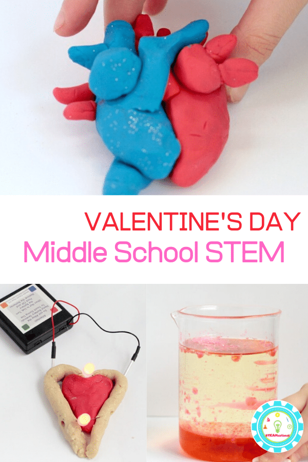 Valentine STEM Activities for Middle School