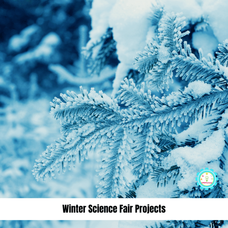 Fun Winter Science Experiments in Jars