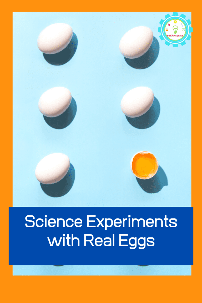 Egg Science Experiments using Real Eggs