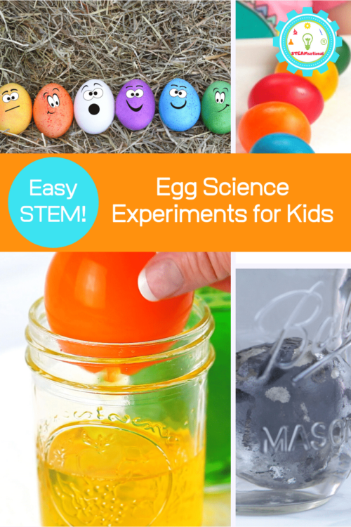 Egg Science Experiments using Real Eggs