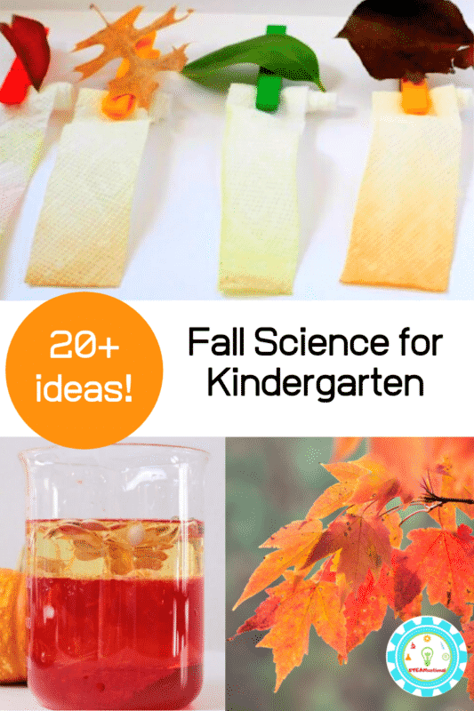 Fall Science Experiments For Kindergarten