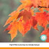 10 Hands-On Fall STEM Activities for Middle School