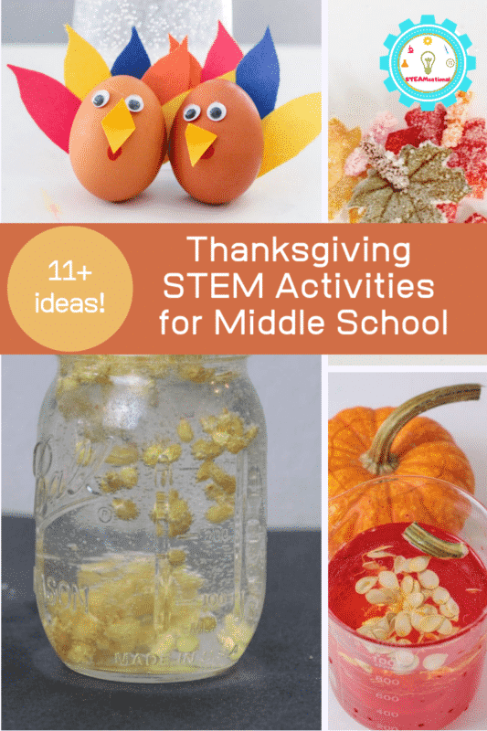 Thanksgiving STEM Activities For Middle School