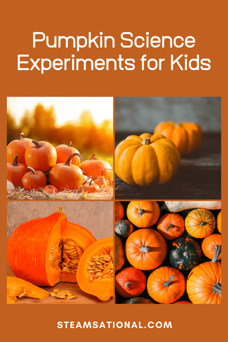 10 Pumpkin Science Experiments for Elementary Kids