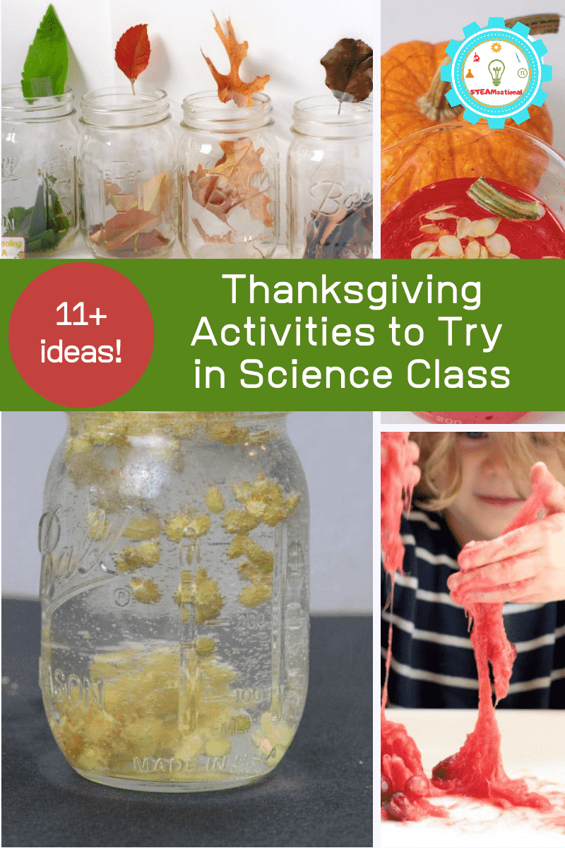 Simple Thanksgiving Science Experiments For The Elementary Classroom