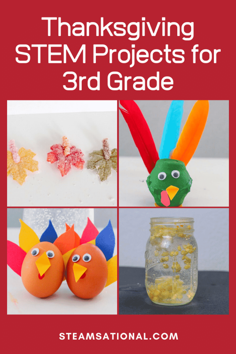 Thanksgiving STEM Activities for 3rd Grade
